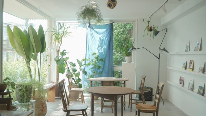 自然光差し込む癒しの空間の写真1