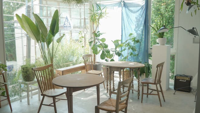 自然光差し込む癒しの空間の写真2