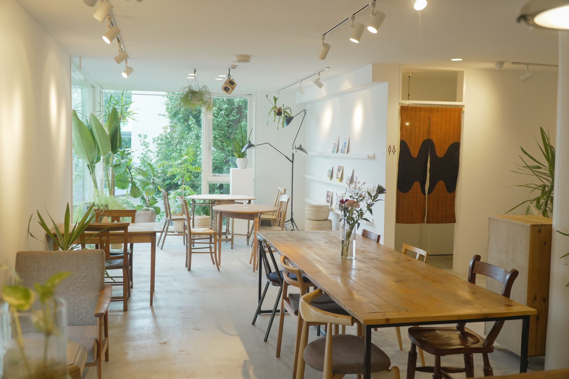 自然光差し込む癒しの空間の写真5