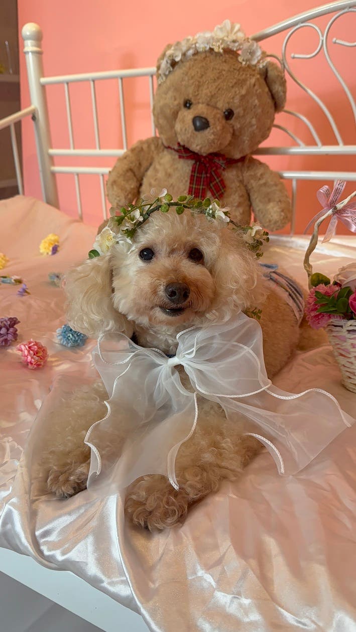 推しと結婚スタジオ奈良駅すぐの写真8