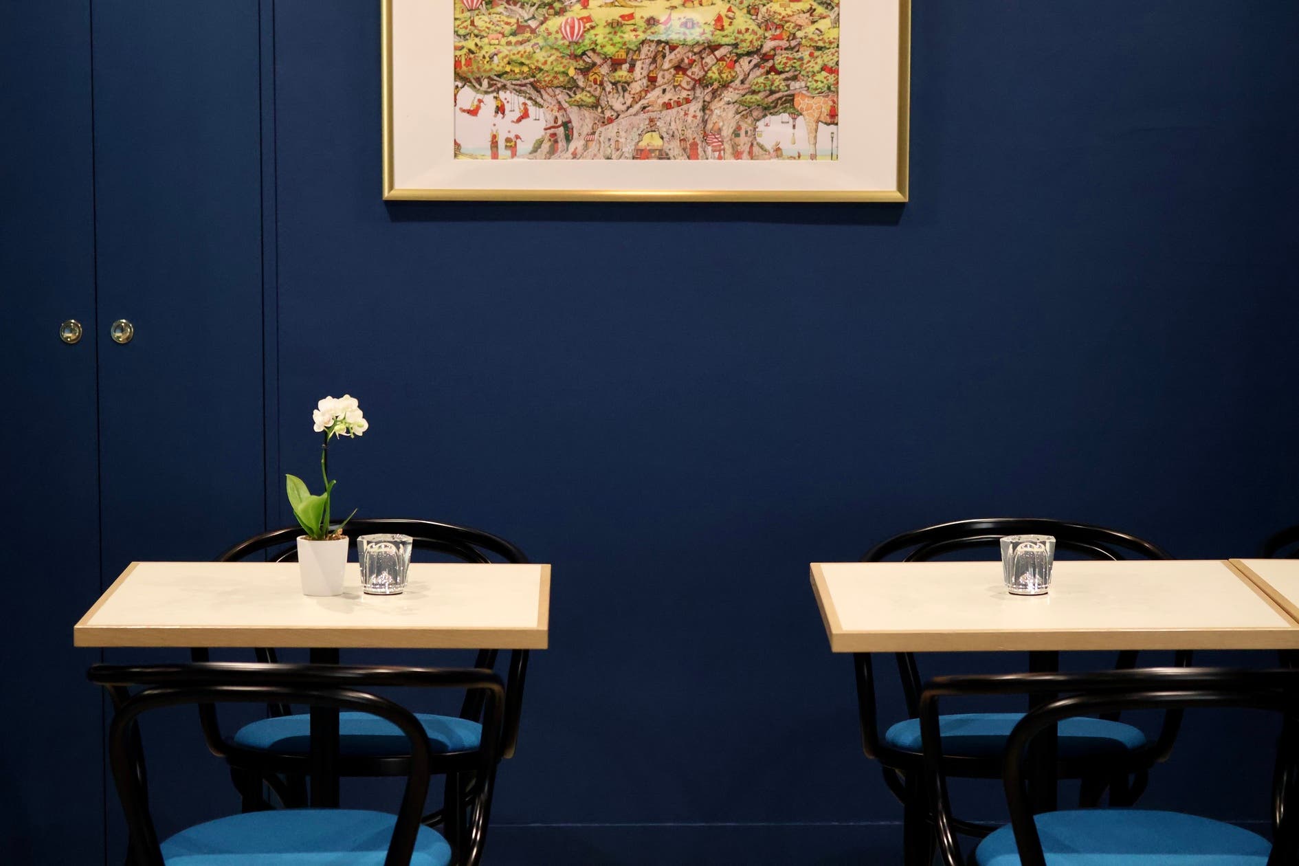 【六本木エリア4駅徒歩圏内】喫茶店丸貸し/一面本棚の高級感ある異世界空間〈写真・動画撮影・イベント・セミナー会場に〉の写真6