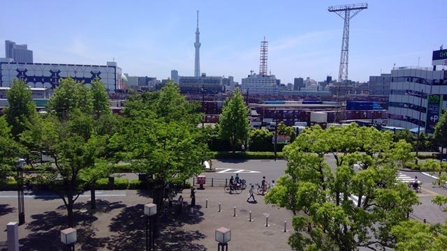 スカイツリーとJR隅田駅貨物コンテナが一望　Skytree　＆　Cargo　train　special　Vieｗの写真2