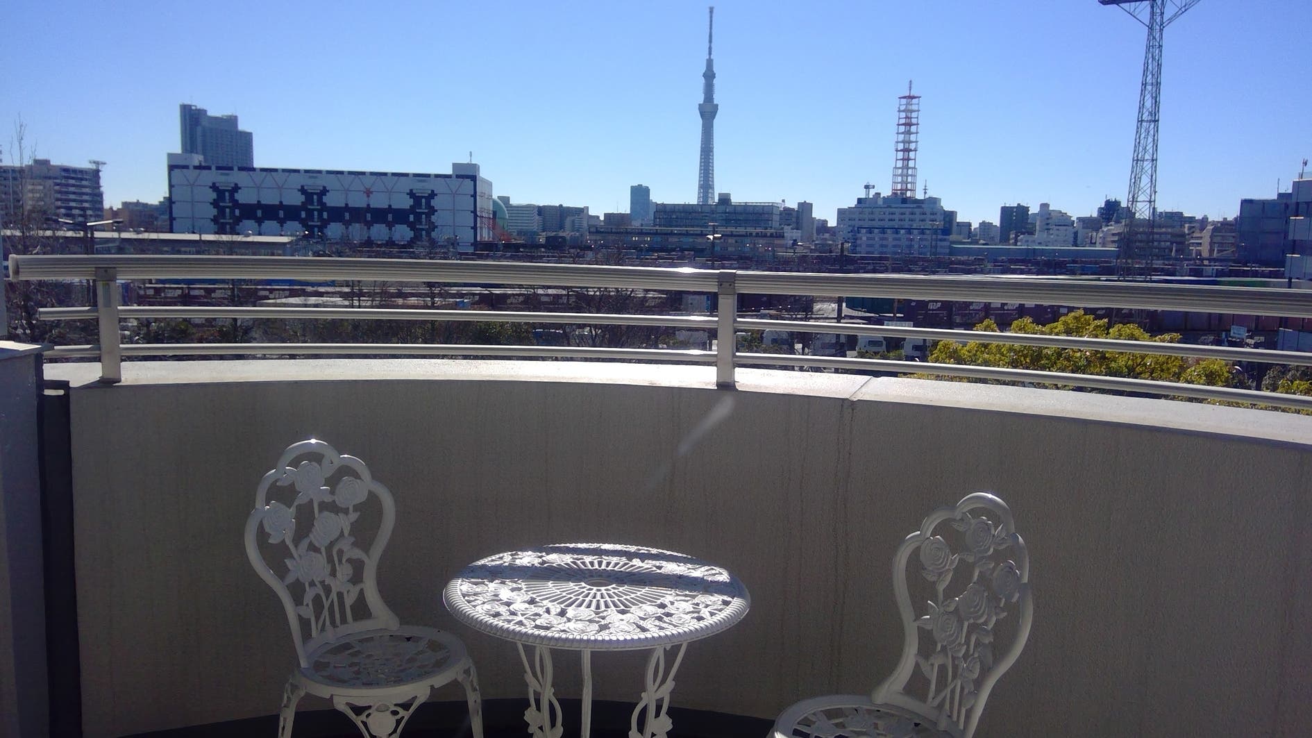 スカイツリーとJR隅田駅貨物コンテナが一望　Skytree　＆　Cargo　train　special　Vieｗの写真3