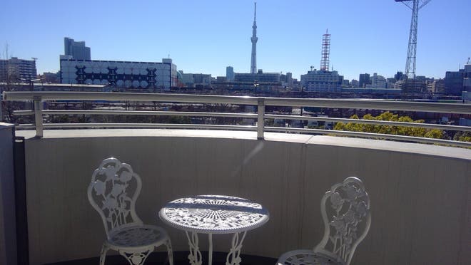 スカイツリーとJR隅田駅貨物コンテナが一望 Skytree & Cargo train special Viewの写真3