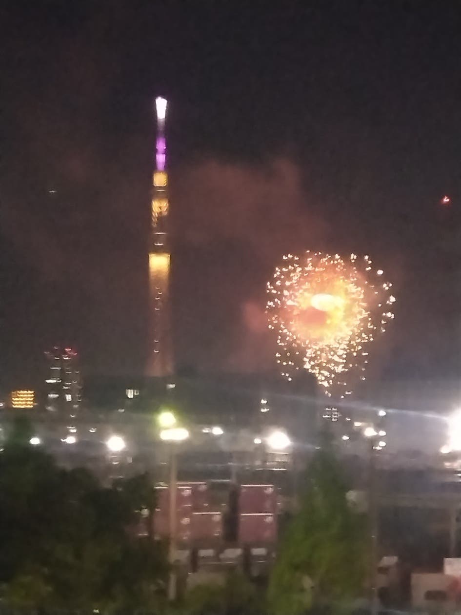 スカイツリーとJR隅田駅貨物コンテナが一望　Skytree　＆　Cargo　train　special　Vieｗの写真6