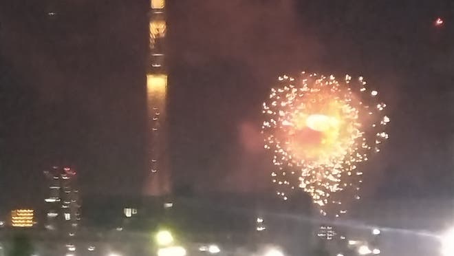 スカイツリーとJR隅田駅貨物コンテナが一望 Skytree & Cargo train special Viewの写真6