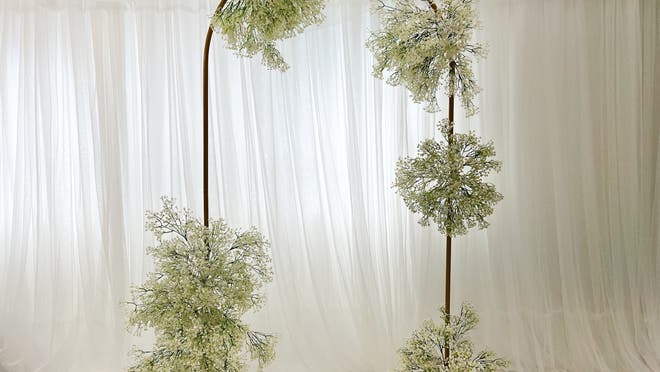 四谷3丁目駅徒歩3分/今月はクリスマス🎅🎄/自然光×白の空間/極みの黒/機材全て無料/13種の撮影シーン/都会の中の非日常の写真22