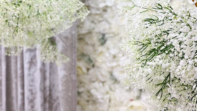 四谷3丁目駅徒歩3分/今月はクリスマス🎅🎄/自然光×白の空間/極みの黒/機材全て無料/13種の撮影シーン/都会の中の非日常の写真23