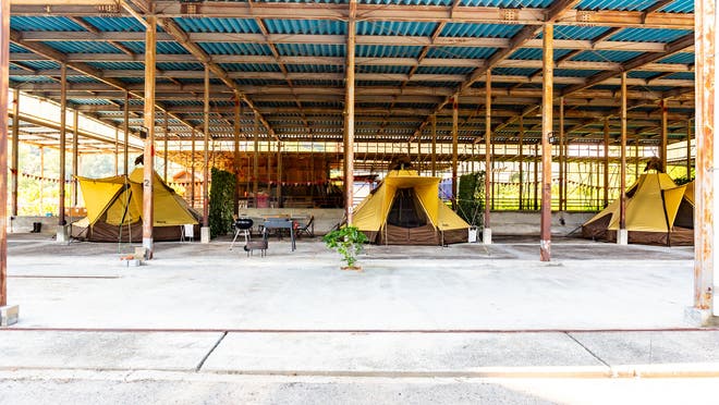 牛舎として使われていた建物を改装した高い屋根のあるキャンプサイトの写真3