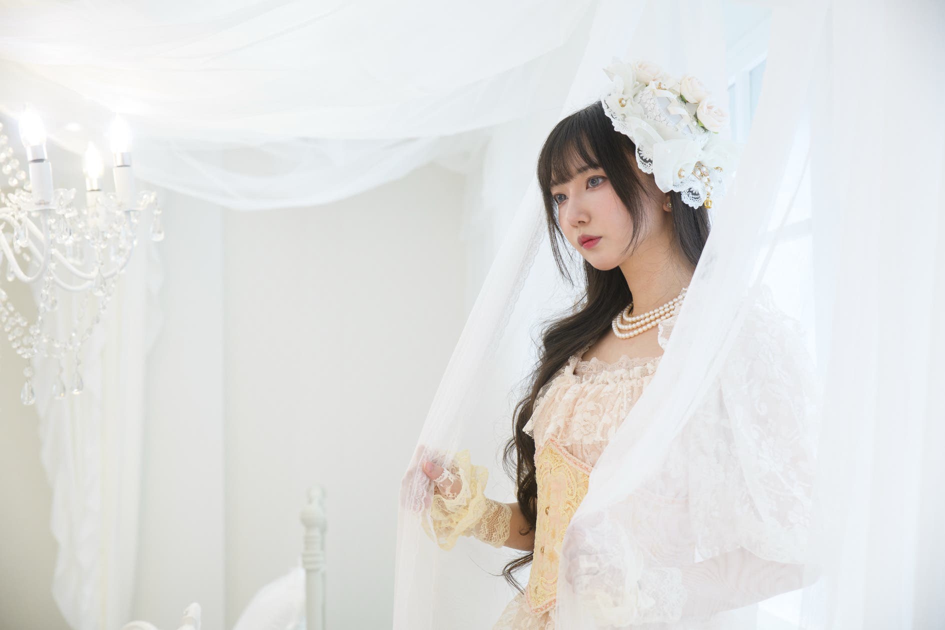 四谷３丁目駅徒歩３分/今月はクリスマス🎅🎄/自然光×白の空間/極みの黒/機材全て無料/13種の撮影シーン/都会の中の非日常の写真7