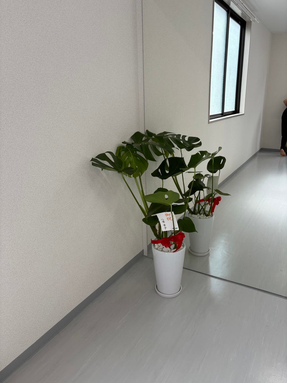 ⭐️NEWオープンキャンペーン⭐️今だけご利用料半額‼️仲町台駅徒歩1分❗️広さ40㎡、幅4m高さ190cmの大型鏡の写真3