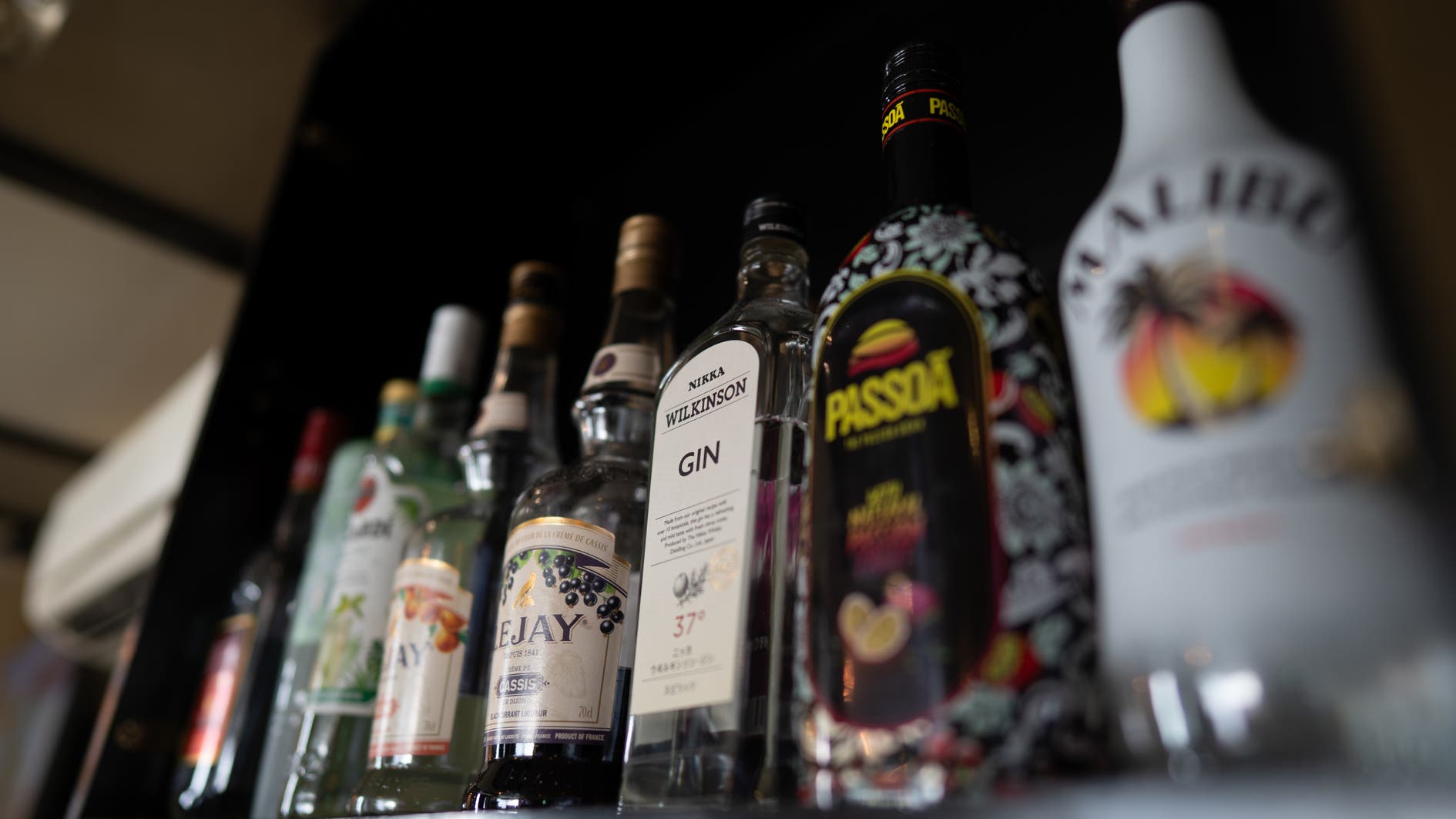 恵我ノ荘駅6分｜カラオケ＆ダーツ遊び放題の貸切スペースの写真3