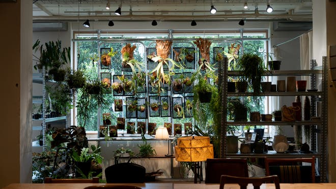 【池尻イベントスペース200名可】インスタ映え抜群!大型JBLスピーカーのレコードミュージックバー 本格音響設備とグランドピアノの写真5