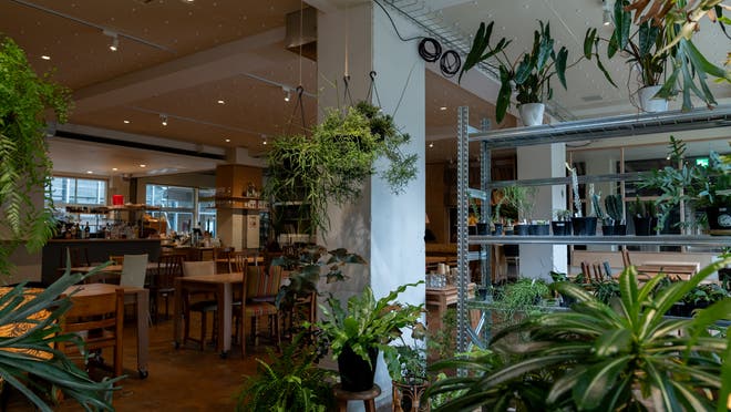 【池尻イベントスペース200名可】インスタ映え抜群!大型JBLスピーカーのレコードミュージックバー 本格音響設備とグランドピアノの写真12