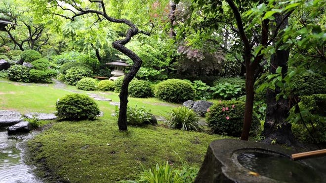 【竹ノ塚駅 / 浅草から電車で30分】築77年の国の登録文化財。洋館のある和風邸宅。撮影や会議・研修・前撮り写真でのご利用可能の写真20