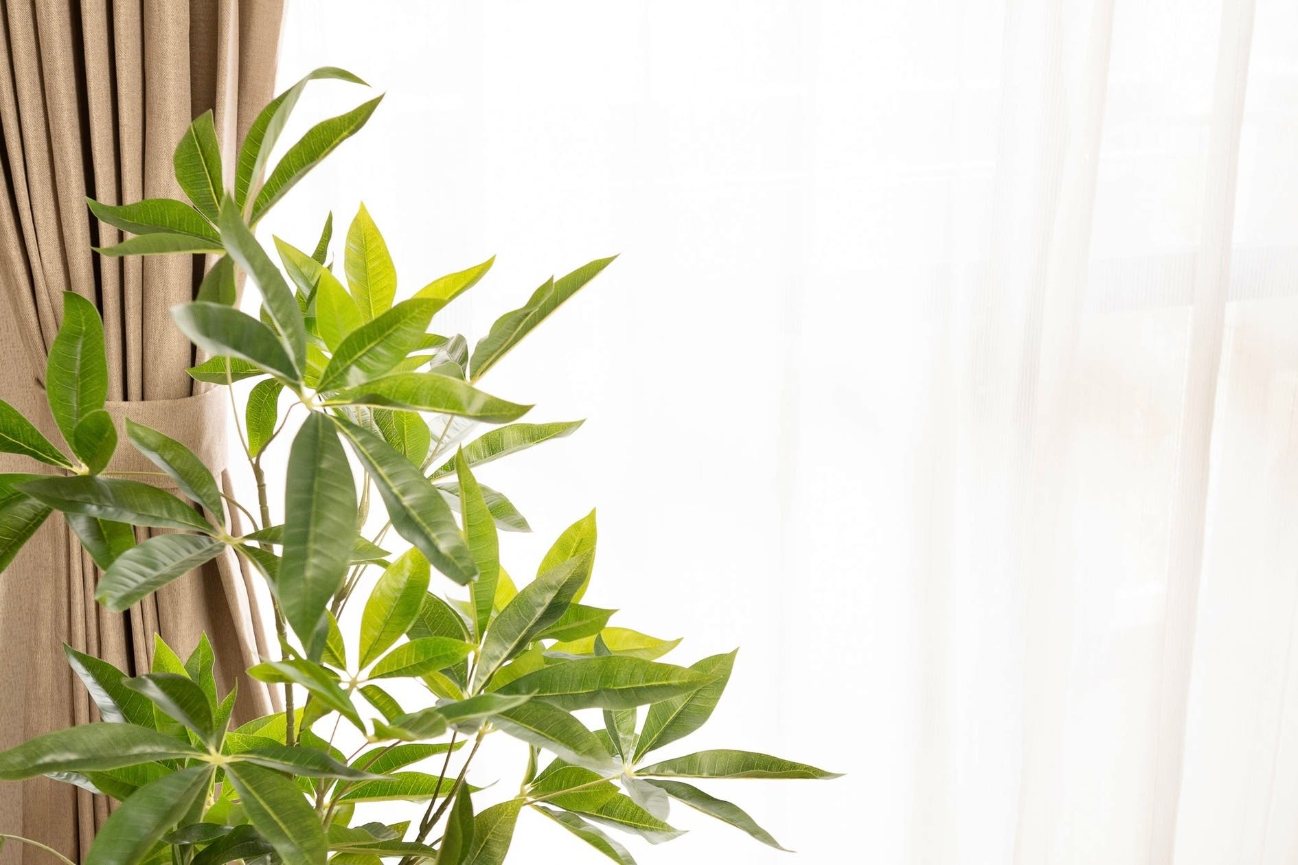 R's Office梅田【東梅田/中崎町駅すぐ】飲食OK🍹完全個室の快適空間💻光回線/モニター無料/オンライン会議にも最適♪の写真18