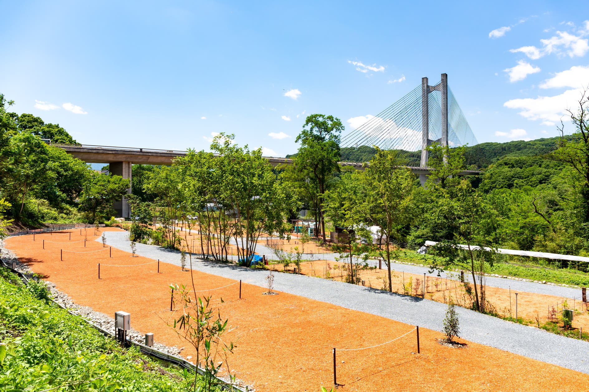 キャンプサイトの写真2