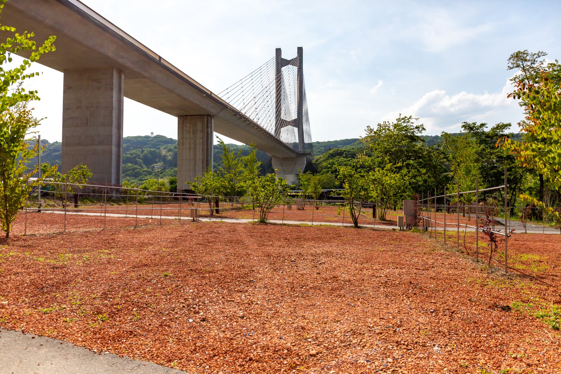 キャンプサイトの写真3