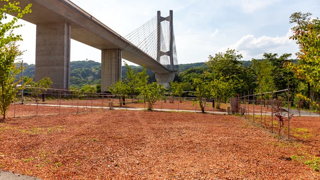 キャンプサイトの写真3