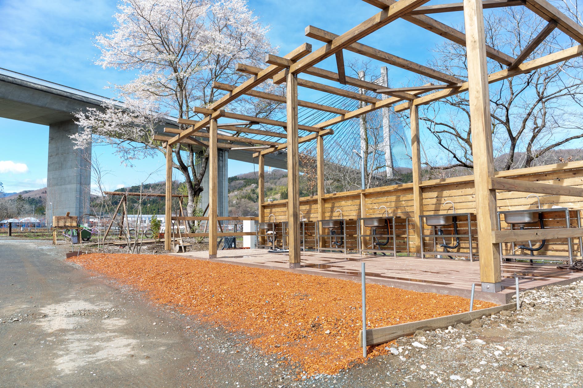 キャンプサイトの写真7