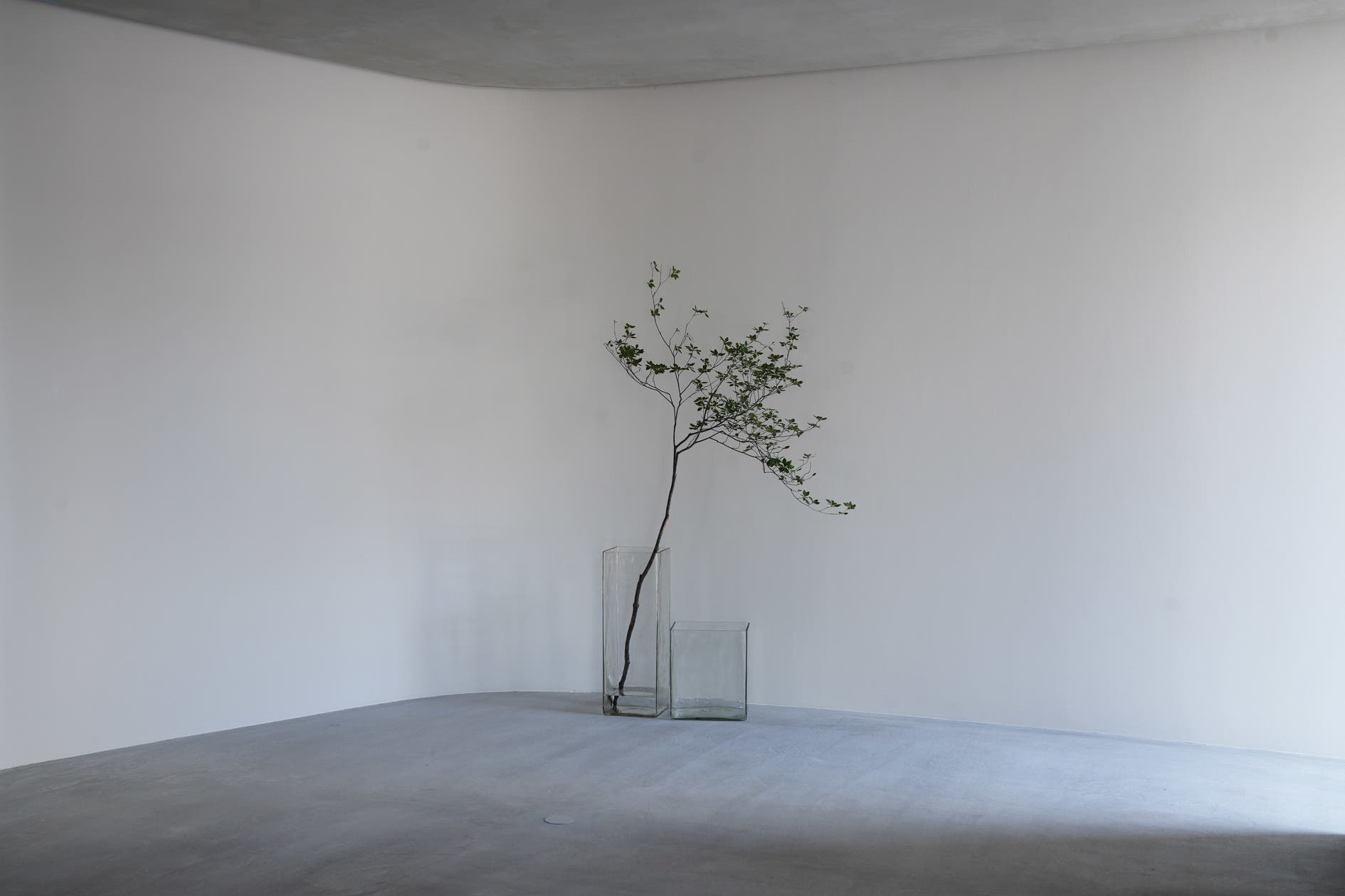 モルタルで作られたシンプルでスタイリッシュな空間の写真3