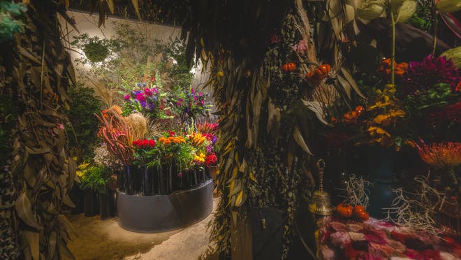 スペモ🌹映え確定っ😍💐秘密の場所でお花に囲まれて過ごす大人時間🌹🥂撮影もOK📸733_FLOWER-PARK恵比寿の写真8