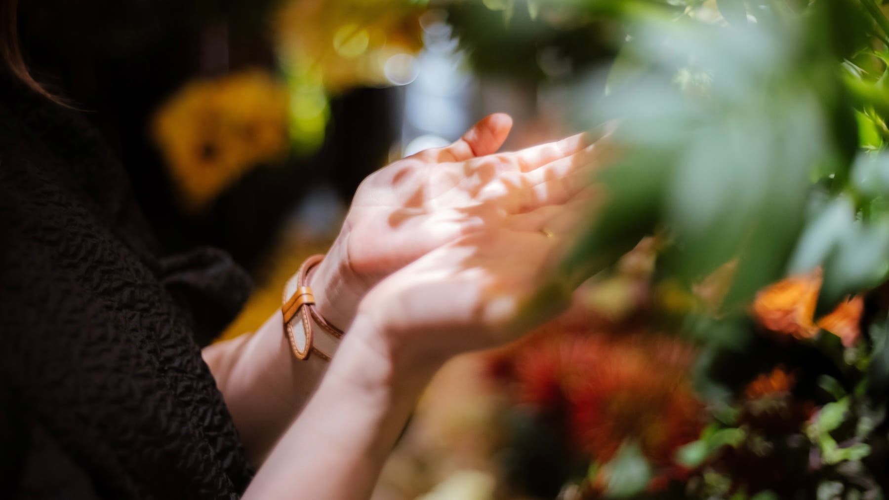 スペモ🌹映え確定っ😍💐秘密の場所でお花に囲まれて過ごす大人時間🌹🥂撮影もOK📸733_FLOWER-PARK恵比寿の写真20