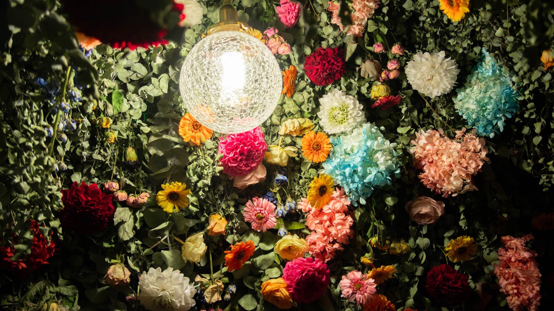 スペモ🌹映え確定っ😍💐秘密の場所でお花に囲まれて過ごす大人時間🌹🥂撮影もOK📸733_FLOWER-PARK恵比寿の写真23