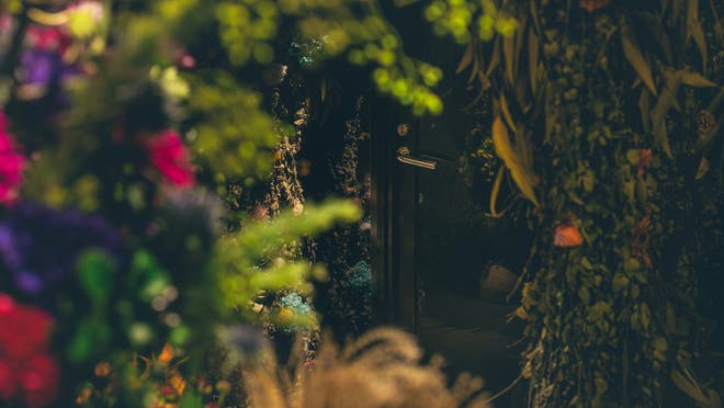 スペモ🌹映え確定っ😍💐秘密の場所でお花に囲まれて過ごす大人時間🌹🥂撮影もOK📸733_FLOWER-PARK恵比寿の写真28