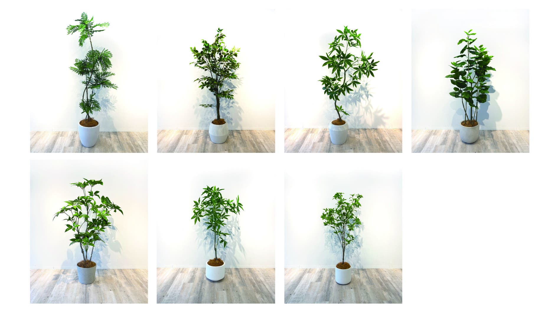 フェイク植栽の貸出の画像1