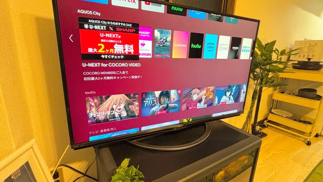 【地域最安OPENプラン‼️】獨協大学1分/4K50型テレビネトフリ視聴可🎬/ゲーム機/ボードゲーム多種/キャンプ気分🏕️の写真7