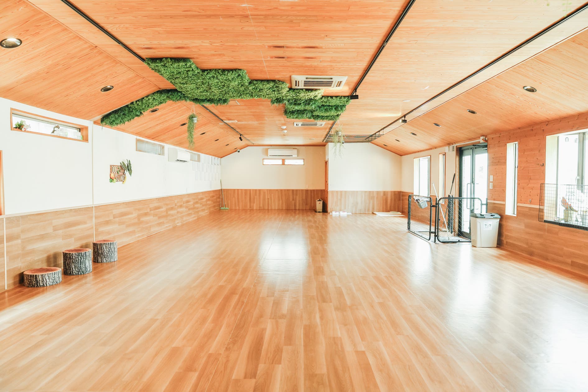 雨でも猛暑でも走れる、県央エリア最大級の「完全屋内ドッグラン」。貸切で快適＆安全。の写真1