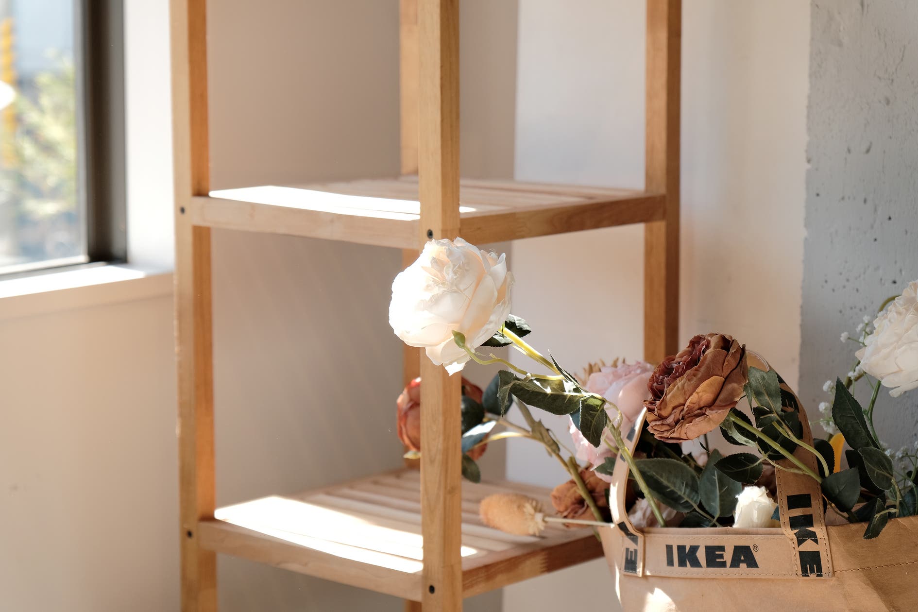 駐車場有・自然光満喫スタジオ｜ペット・楽器OK｜発表会・展示会・パーティー可｜道具使い放題｜機材使用可能の写真10