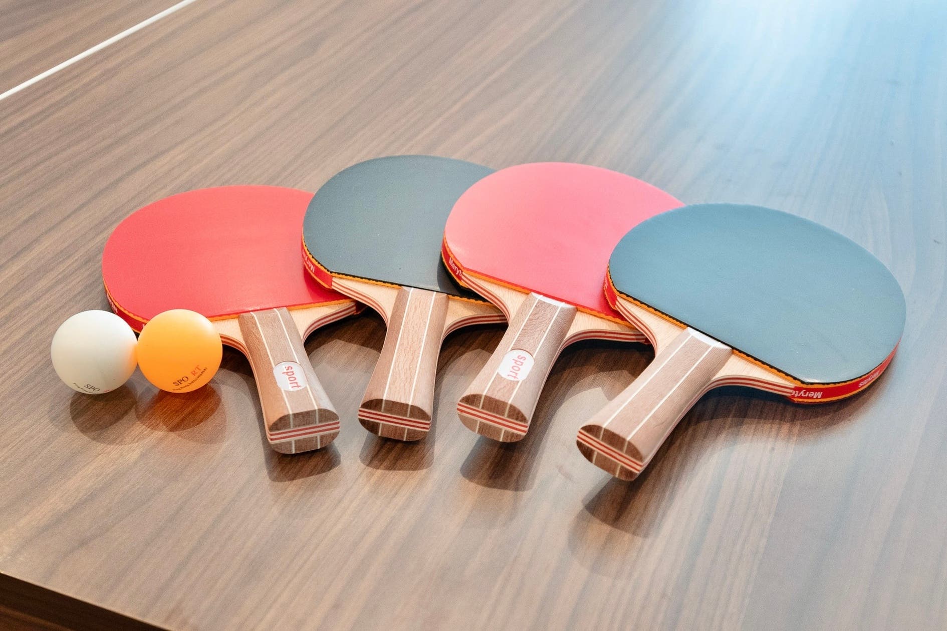 卓球セット🏓【期間限定無料】の画像1