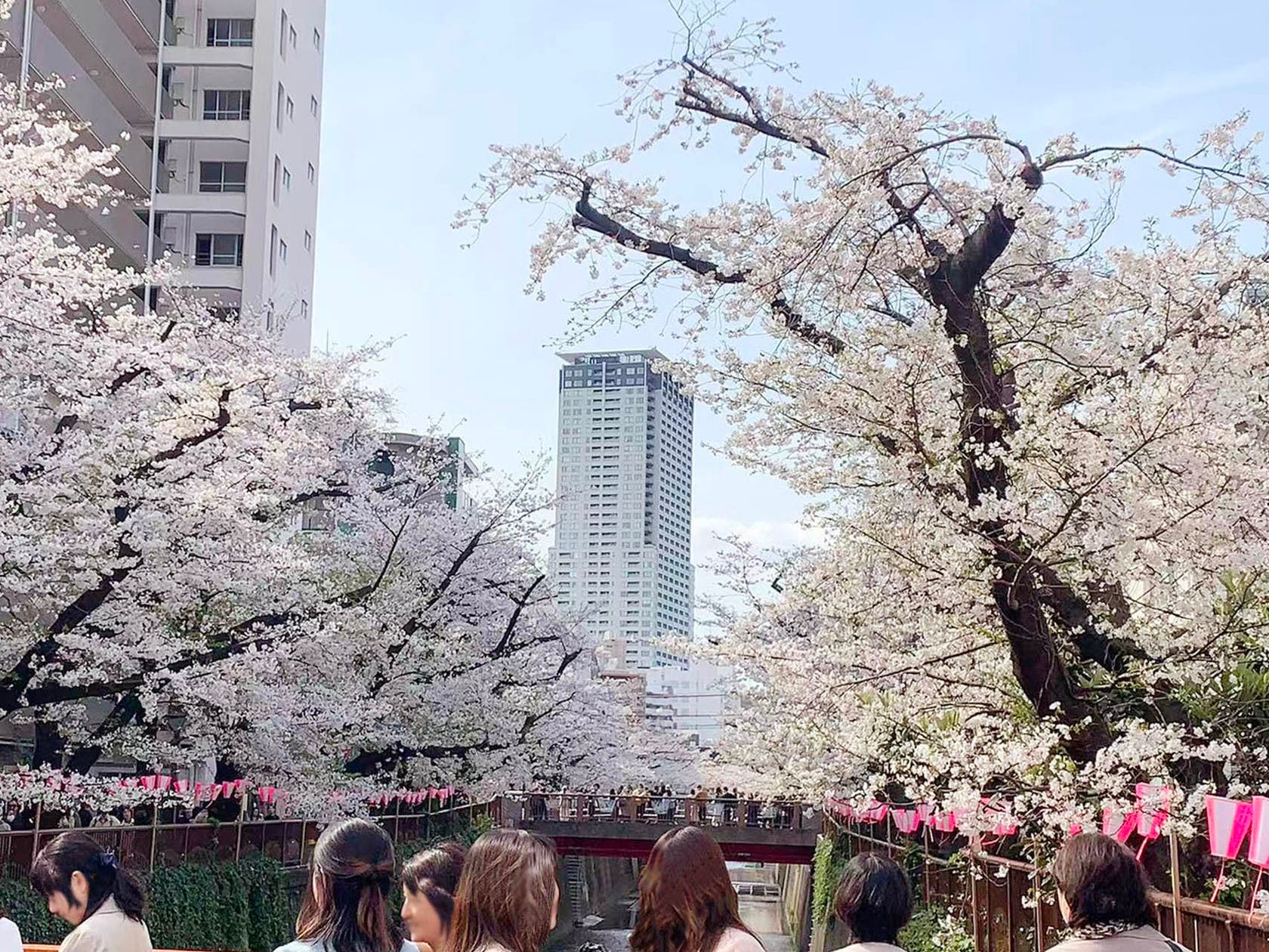 スペース KARITE 中目黒 (SPACE KARITE NAKAMEGURO)の写真6