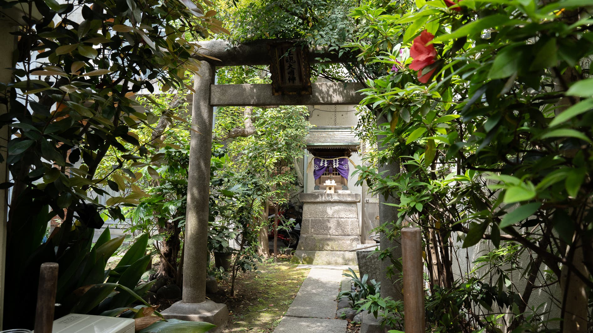 生魂様神社撮影オプションの画像1