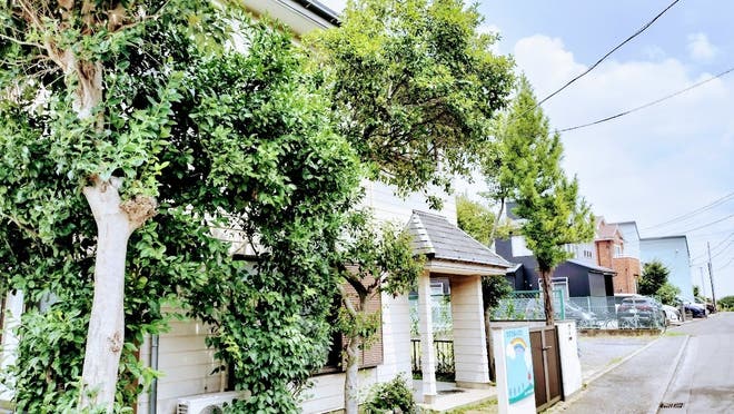 【横浜市旭区】クリスマス装飾🎅商業撮影可🌟撮影実績多数📺一軒家🏠自然光/和室/4LDK/パーティー/セミナー等の写真27