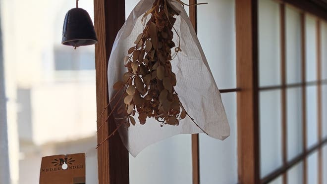 猫のいる浦和の古民家。撮影会、室内撮影、ワークショップやお茶会にも。の写真9