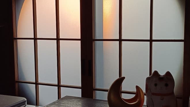 猫のいる浦和の古民家。撮影会、室内撮影、ワークショップやお茶会にも。の写真21