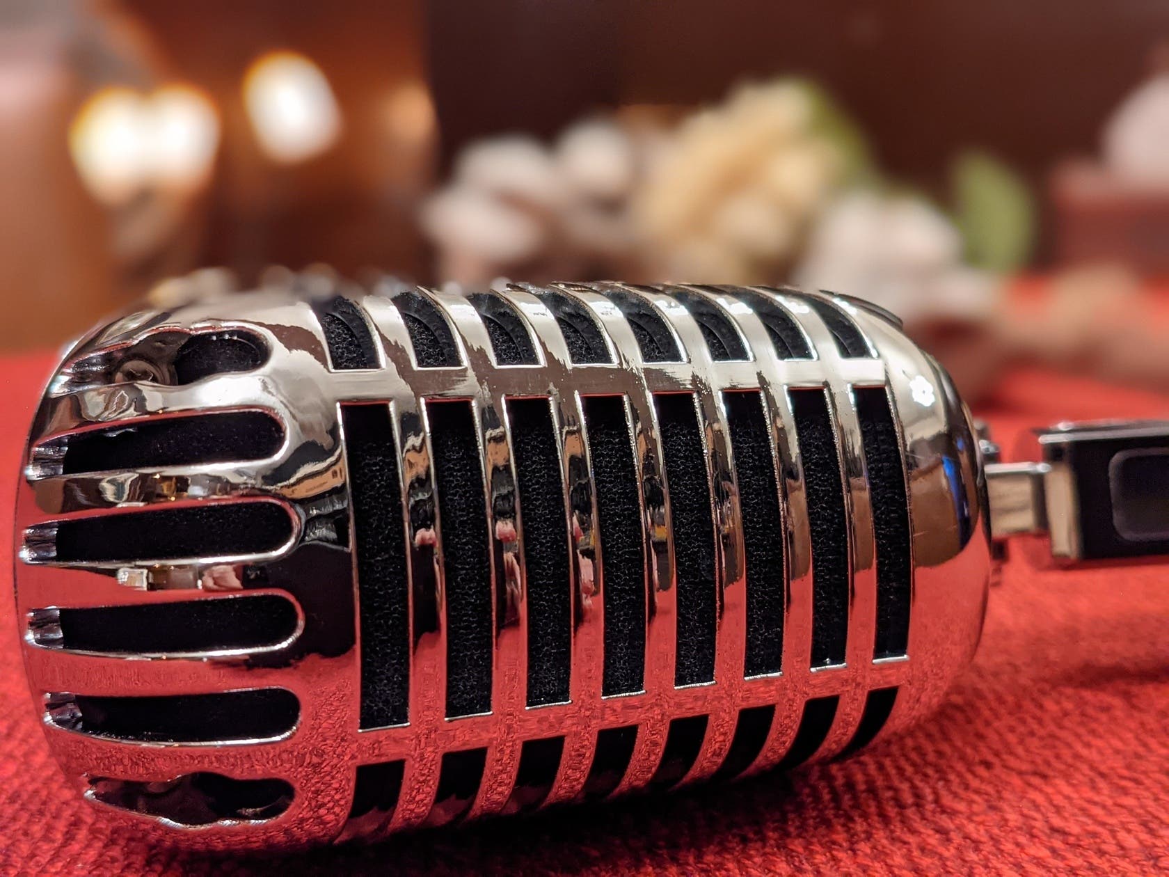 ガイコツマイクの画像1