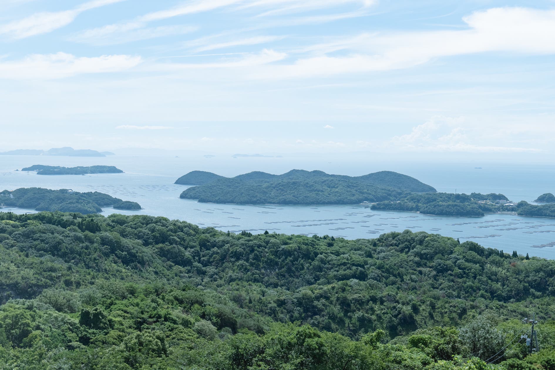 広々、豪華絢爛な会議、研修室！他の用途も可能です。の写真3