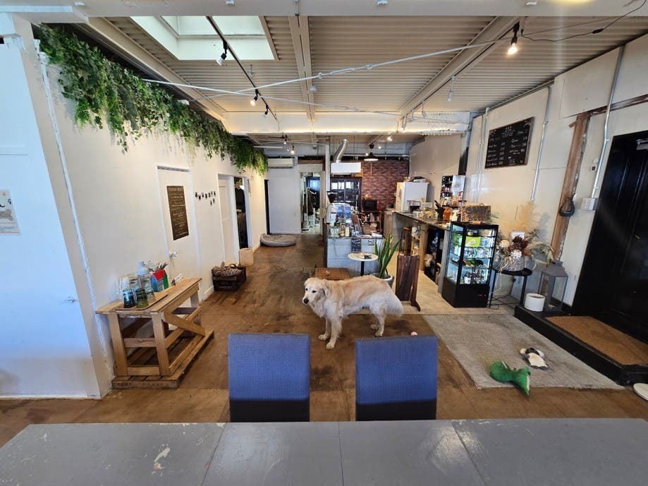 深江橋駅出口４から徒歩約7分のカフェの写真1