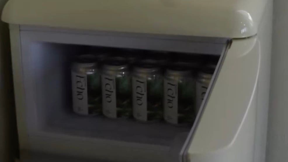 [神保町・九段下５分]飲み会/鑑賞会に。屋上利用OK wifi完備 子供ペット歓迎の写真8