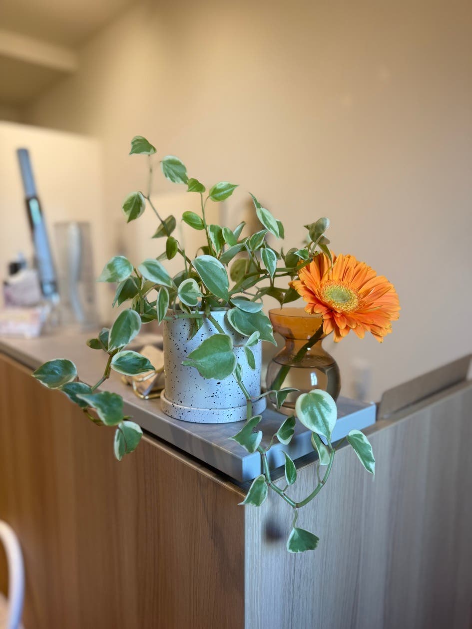 志木駅徒歩7分の完全個室美容サロンの写真7