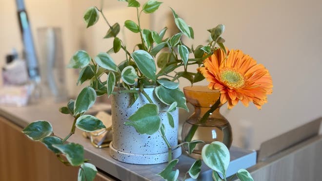 志木駅徒歩7分の完全個室美容サロンの写真7