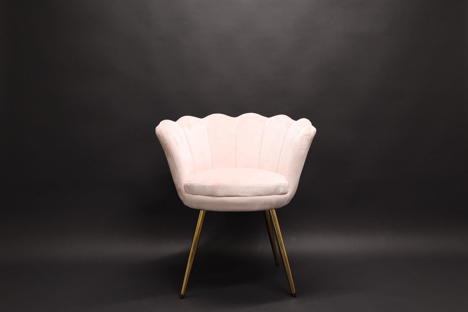 【セルフ写真スタジオ】南浦和駅東口｜駅近・セルフ写真取り放題！・ペットと撮影OK！・スタッフ無し！・無料の撮影グッズ多数有り！の写真13