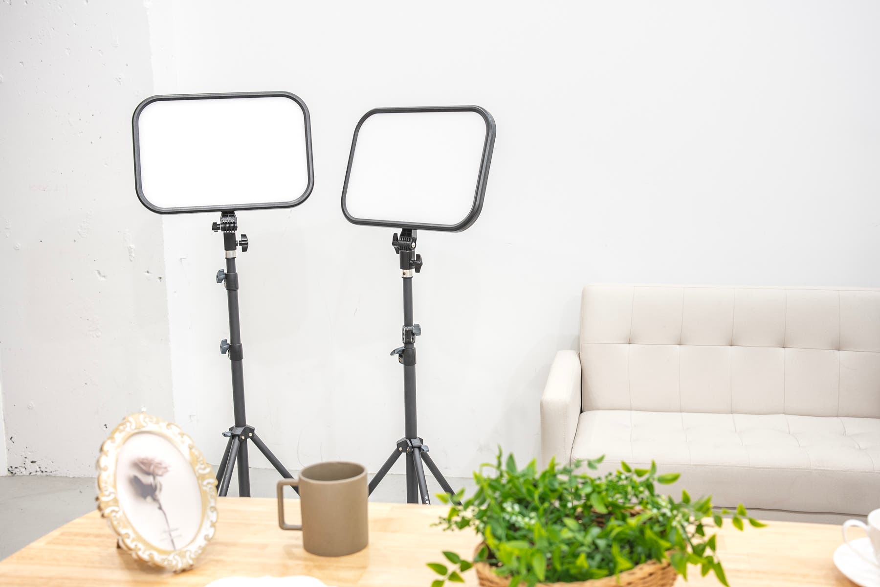 スペモ🐇クリスマス🎄ペット可🐾推し活🎀ロココ🪞コスプレ💎かわいい🤍女子会🎠762_チェリッシュスタジオ 07号館の写真22