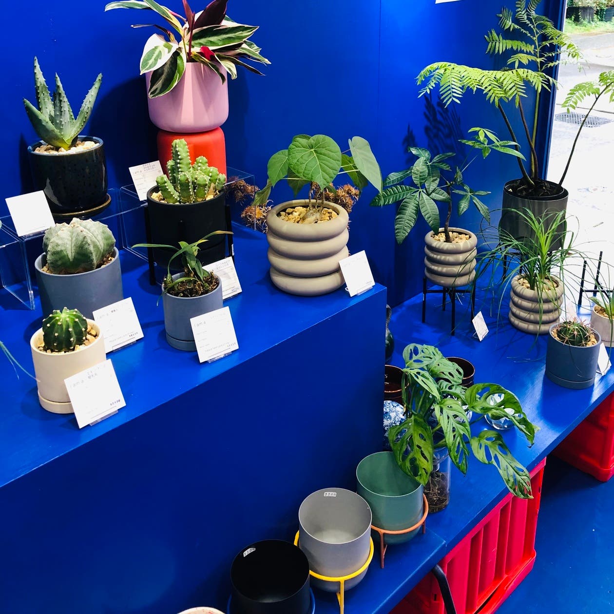 【ファッション/アート/フォト】カルチャーの中心地「大名」の裏通り、1店舗貸しの青い空間。の写真7