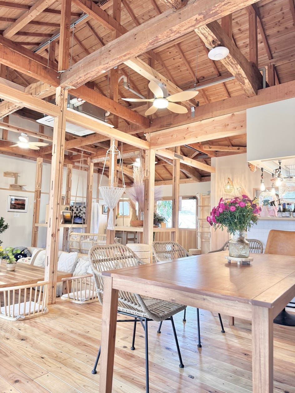 【室内、屋外スペースあり】自然に囲まれグランピングの中に、ねこちゃんと一緒のんびり過ごせられる空間。の写真4