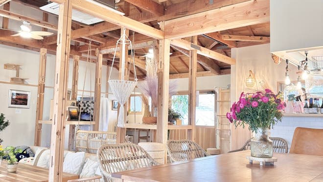 【室内、屋外スペースあり】自然に囲まれグランピングの中に、ねこちゃんと一緒のんびり過ごせられる空間。の写真4